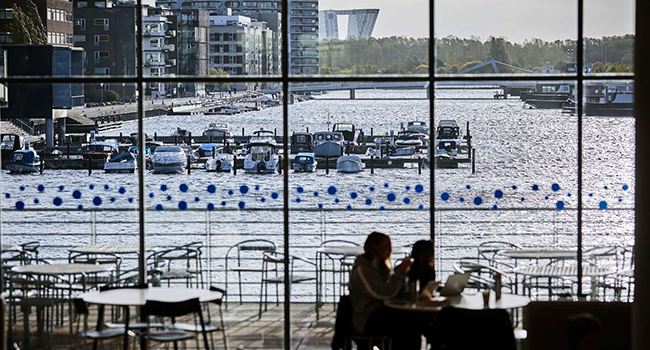 Invitation til NNDR - Nordic Network of Disability Research's årsmøde ...