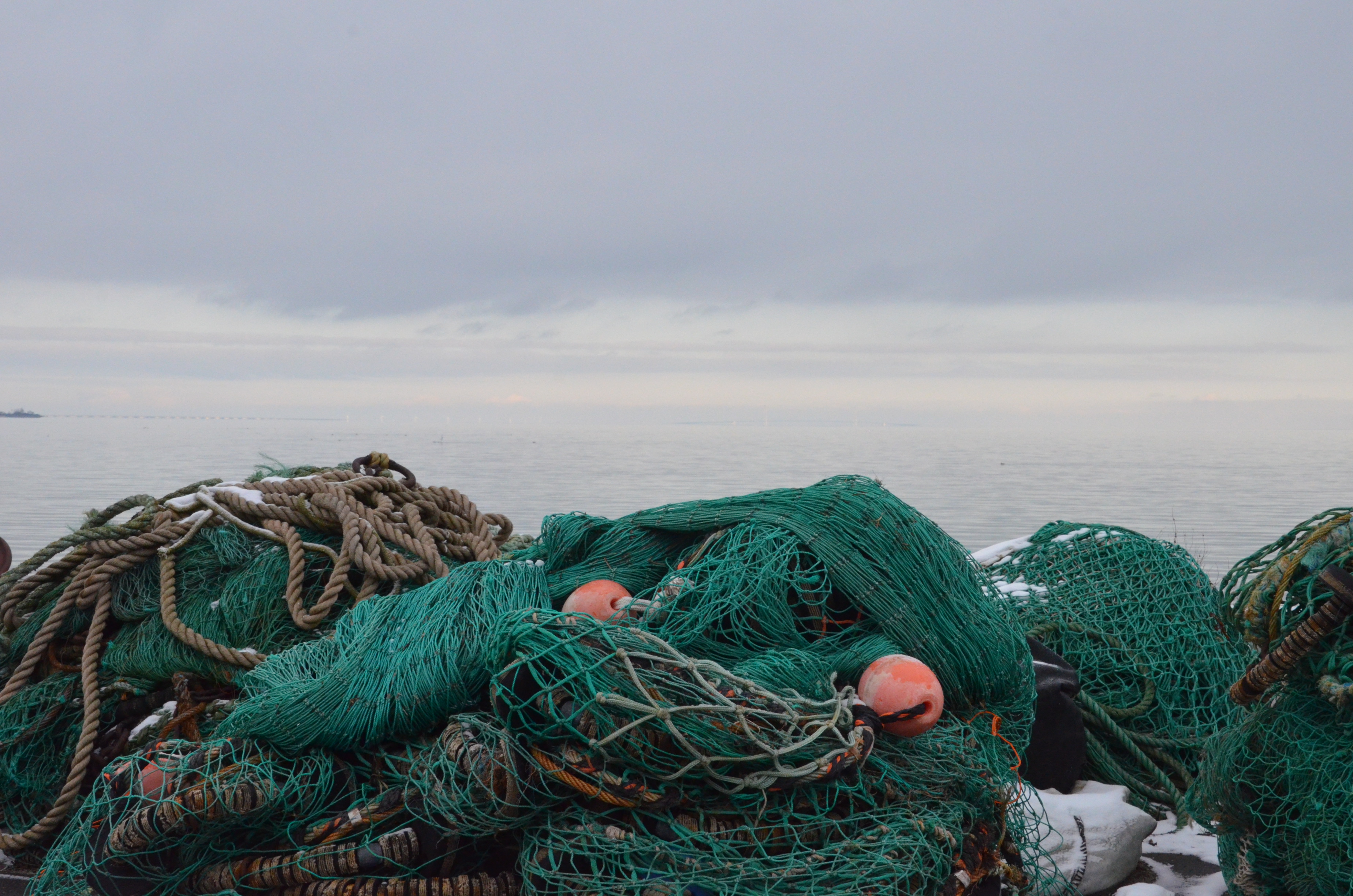 Researcher breaks new ground to improve sustainable fishing - Aalborg ...