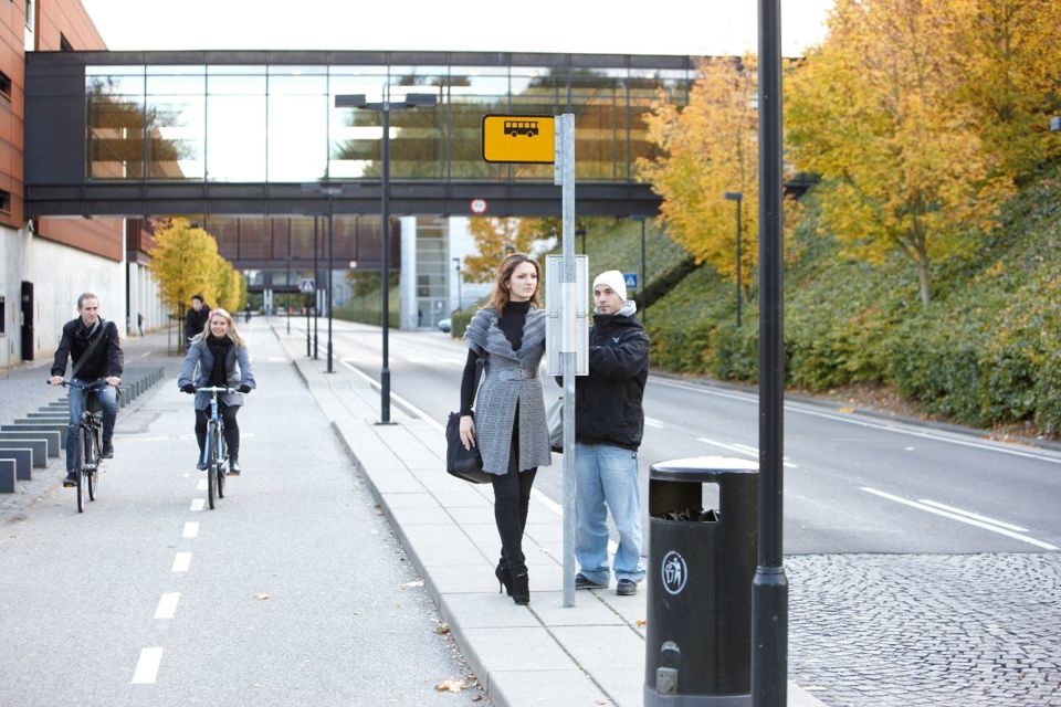 Danish People Physical Characteristics Are The People Of Scania